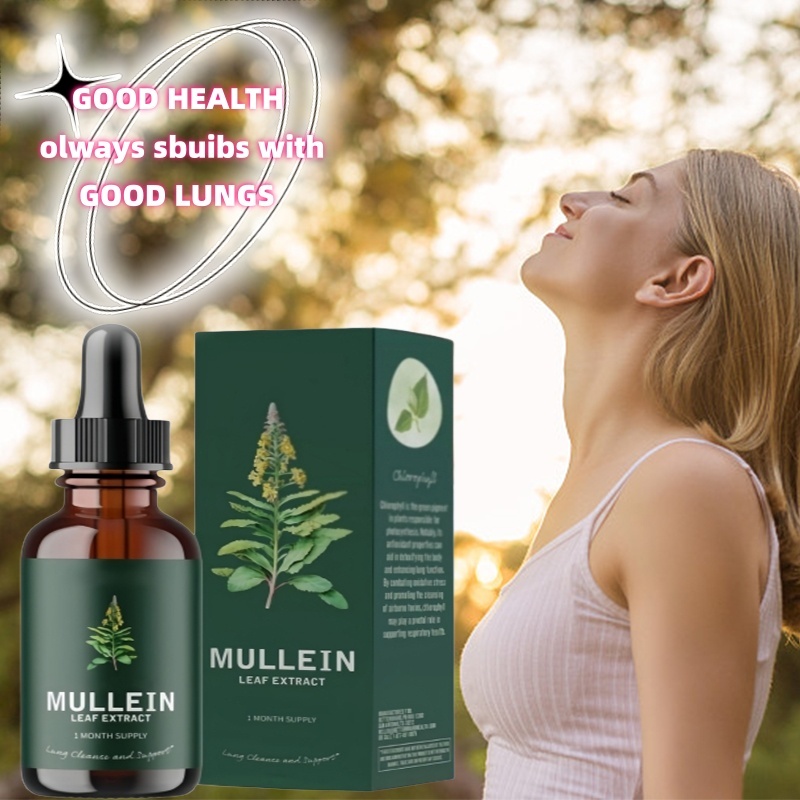 Original Green Mullein Leaf Extract Liquid with Chlorophyll for Healthy ...