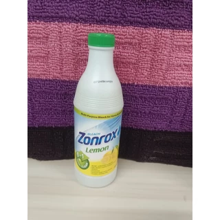 Shop zonrox 500ml for Sale on Shopee Philippines