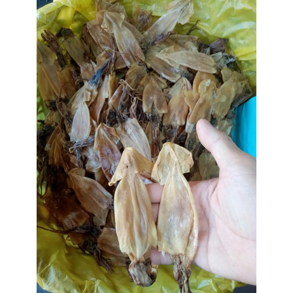 Dried Regular Pusit Small to medium Size 100g Vacuum sealed | Shopee ...