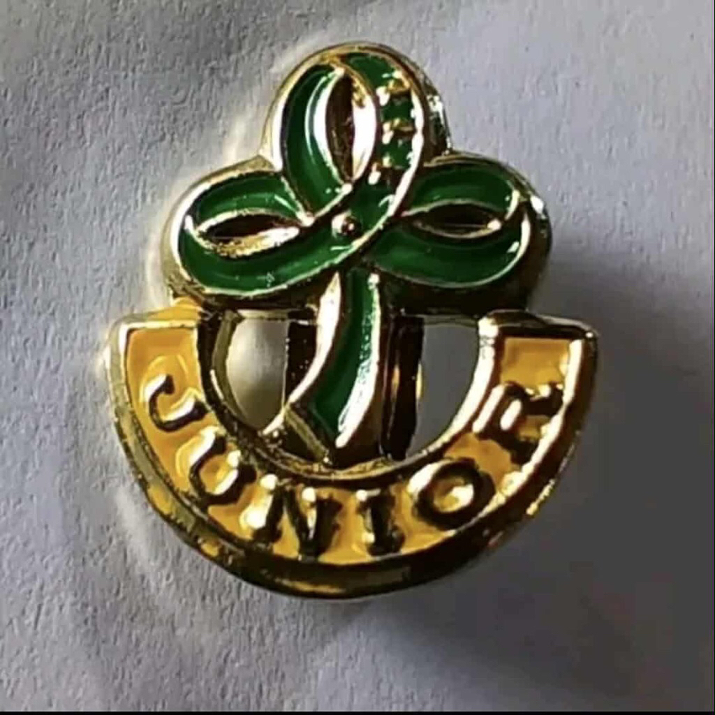 Girls Scout Accessories for Girls Scouting Uniform Pin | Shopee Philippines