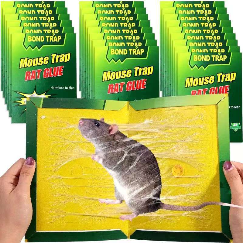 GREEN Mouse and Rat Catcher Glue Trap Rodent Expert Sticky Bond Mice ...