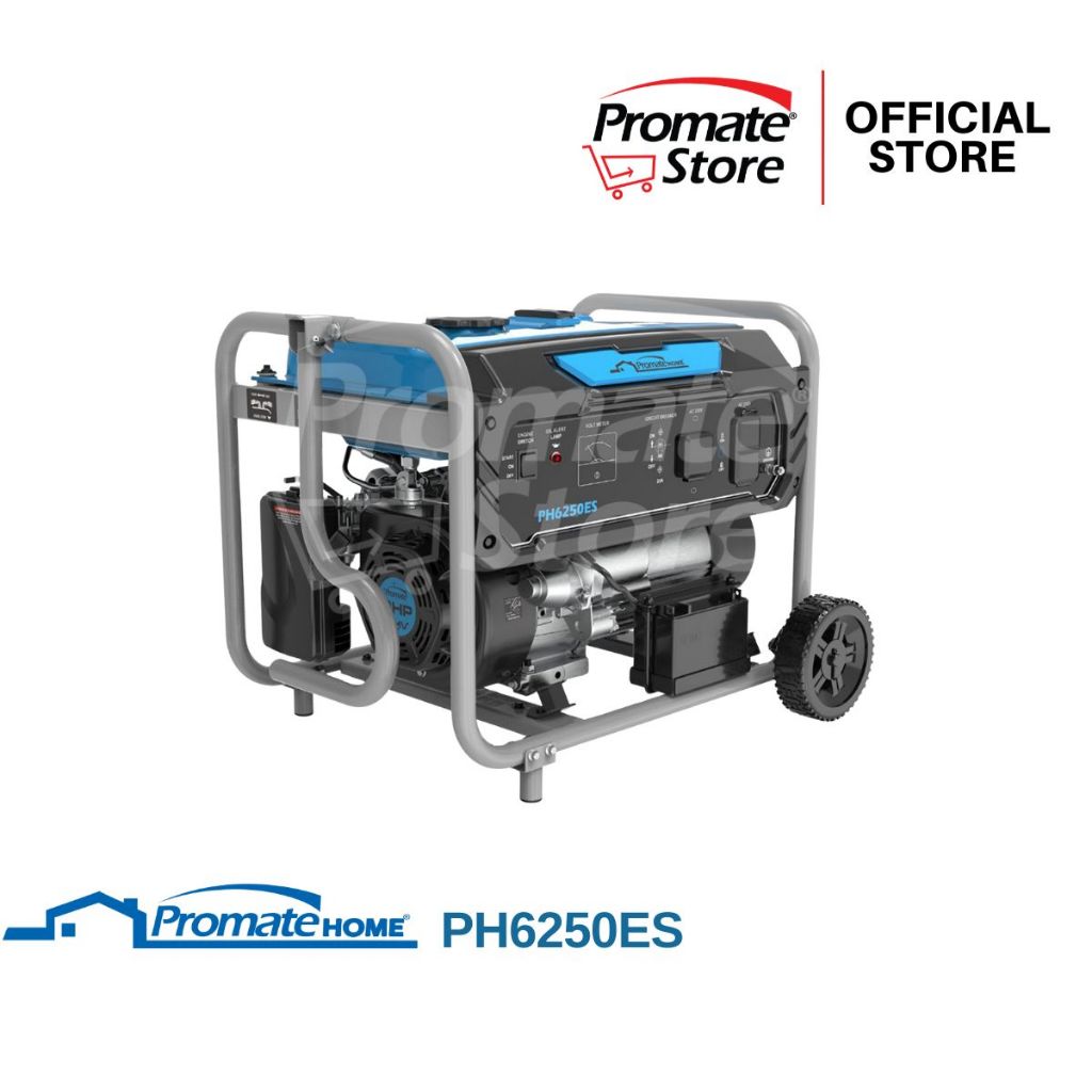 Promate PH6250ES Gasoline Generator 6kVa | 5000W/6250W | 10HP OHV ...