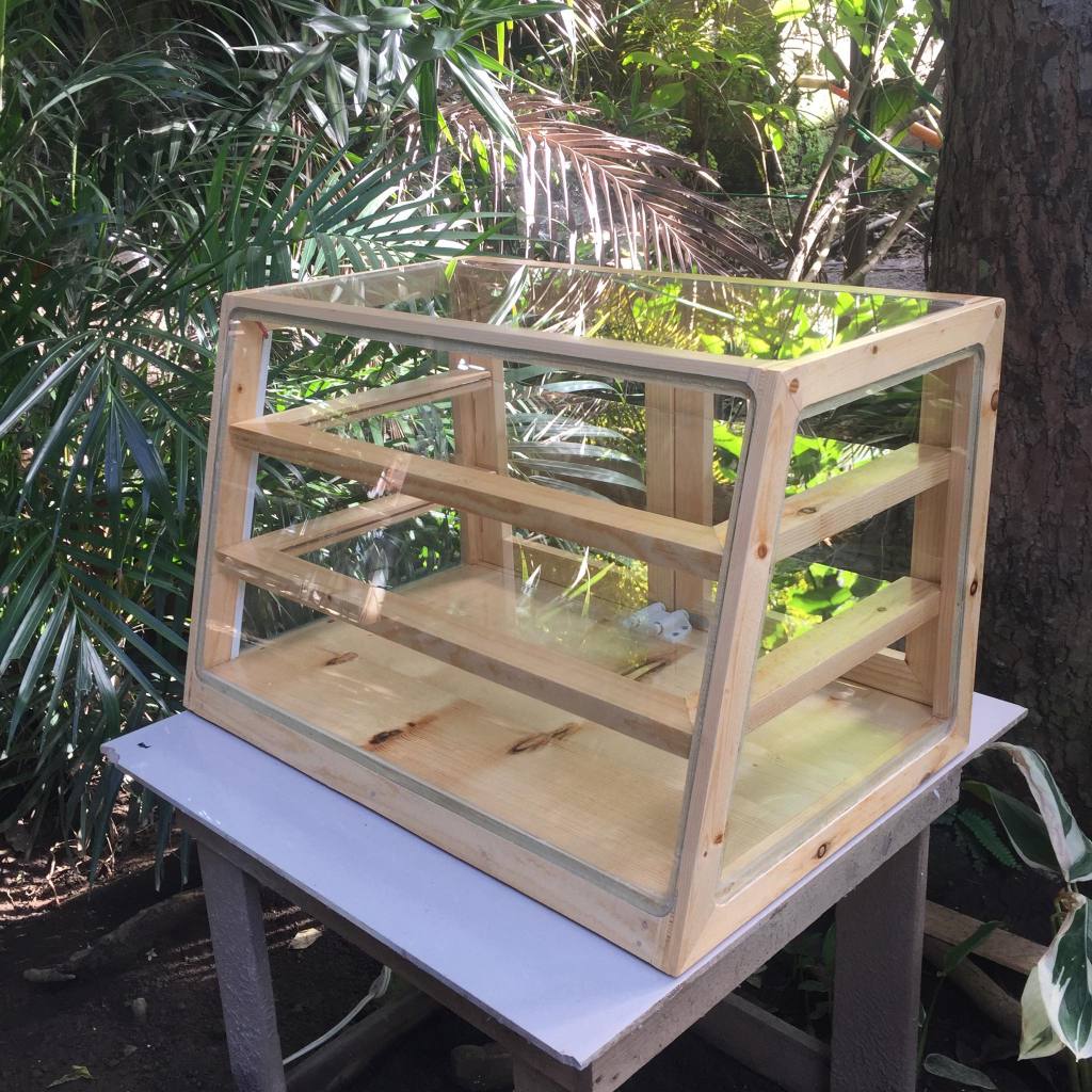 Castula: 3 Layer Slanted type Pastry Bread Food Display Case with Light ...