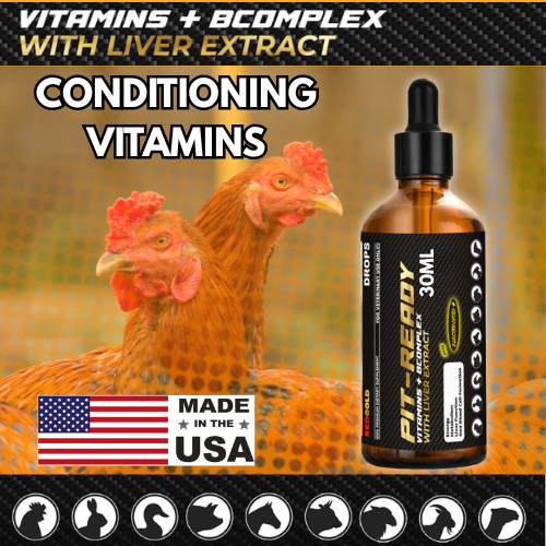 PIT READY | Vitamin Bcomplex | Electrolytes | Liver Extract | Gamefowl ...