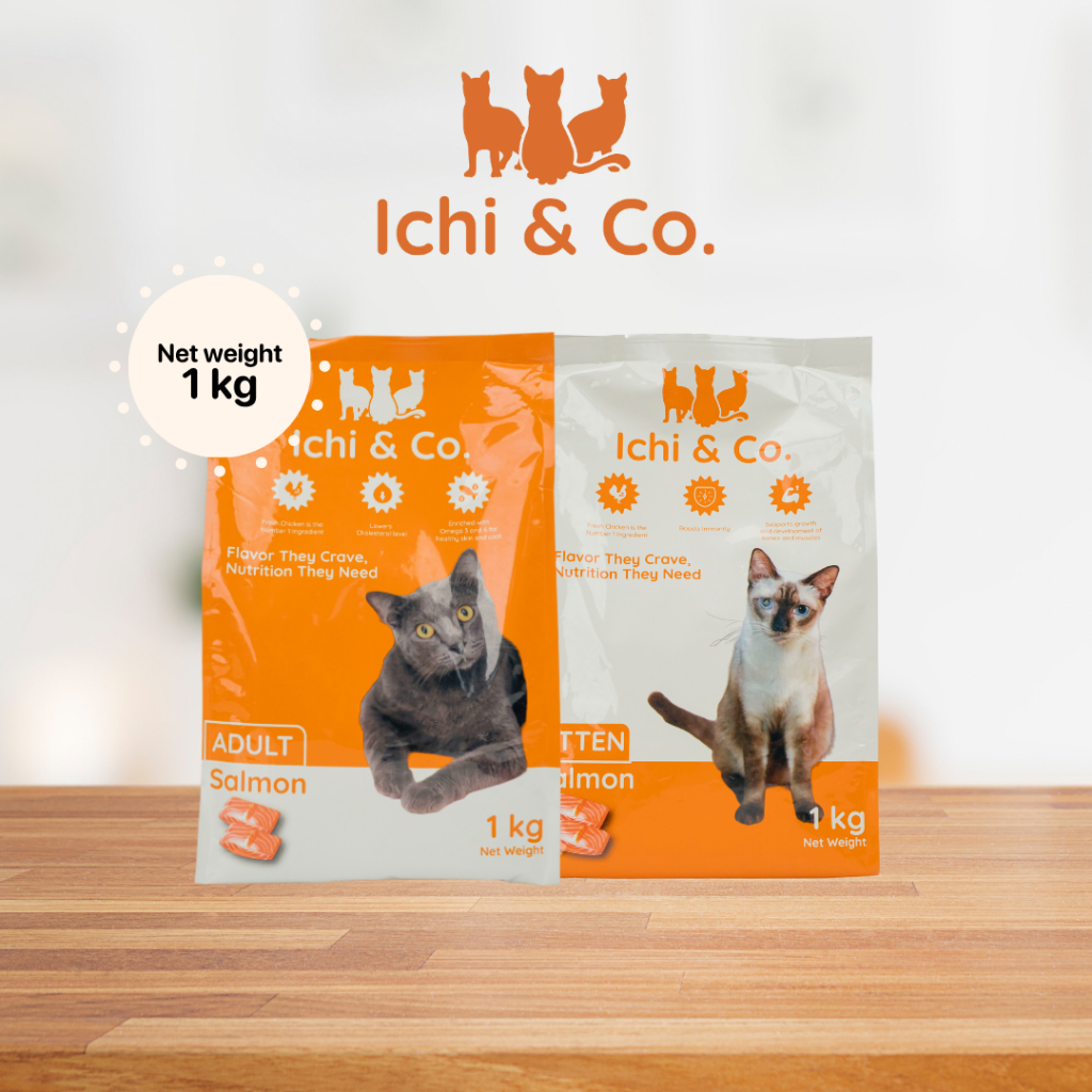 Ichi & Co Cat Food 1kg (Salmon) | Shopee Philippines