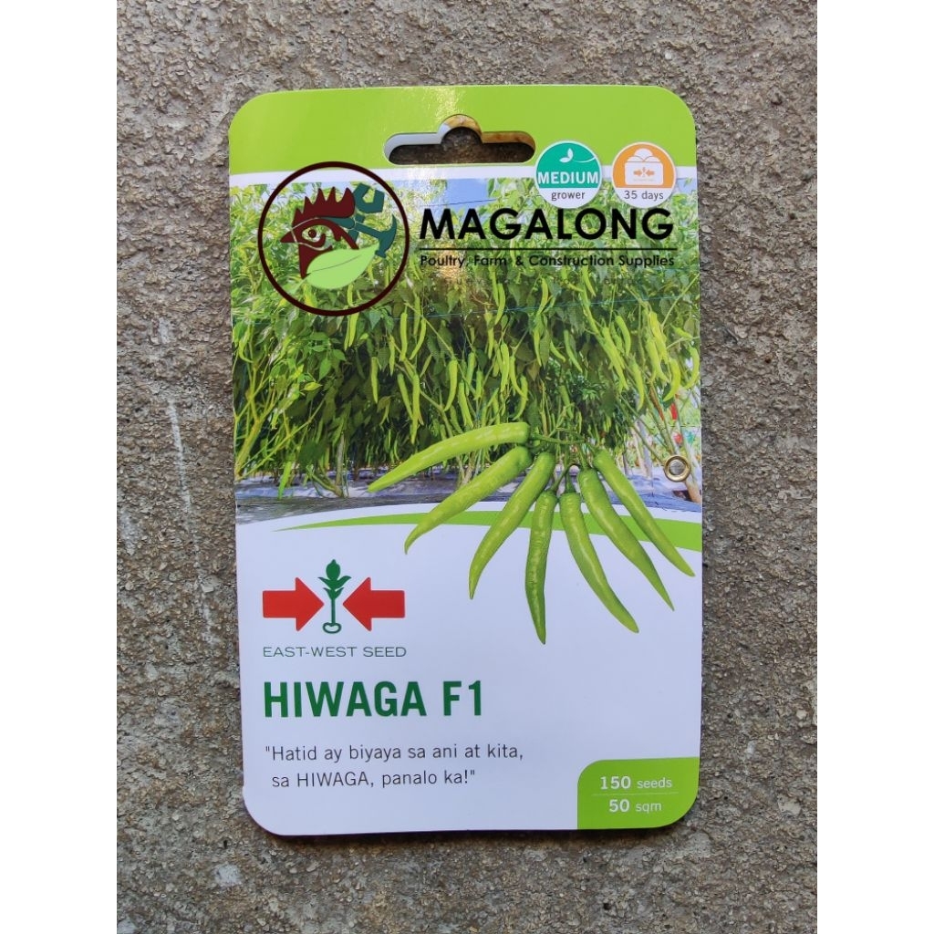 EAST-WEST SEEDS - PEPPER SEEDS - HIWAGA F1 HYBRID - 150 SEEDS SILING ...