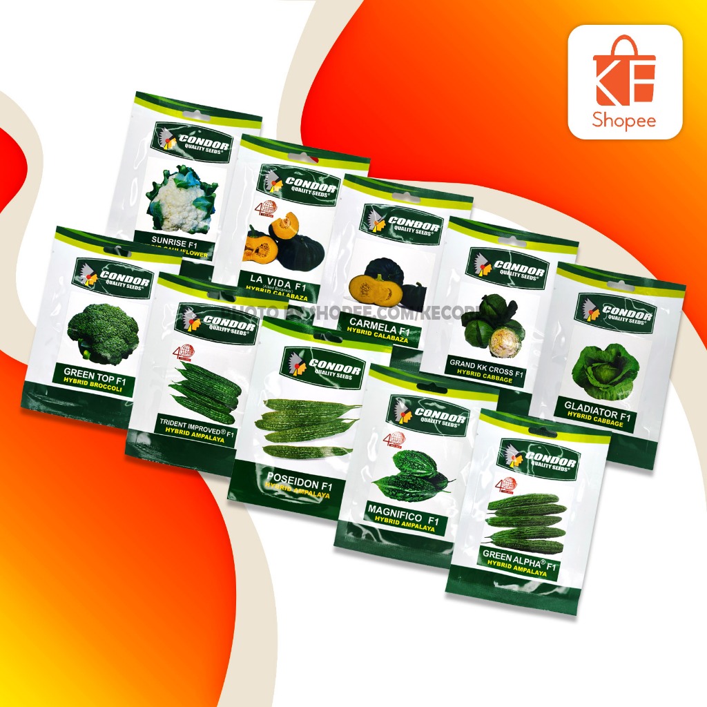 Condor Hybrid Vegetable Seeds - Sold per Pack kcS11207 | Shopee Philippines