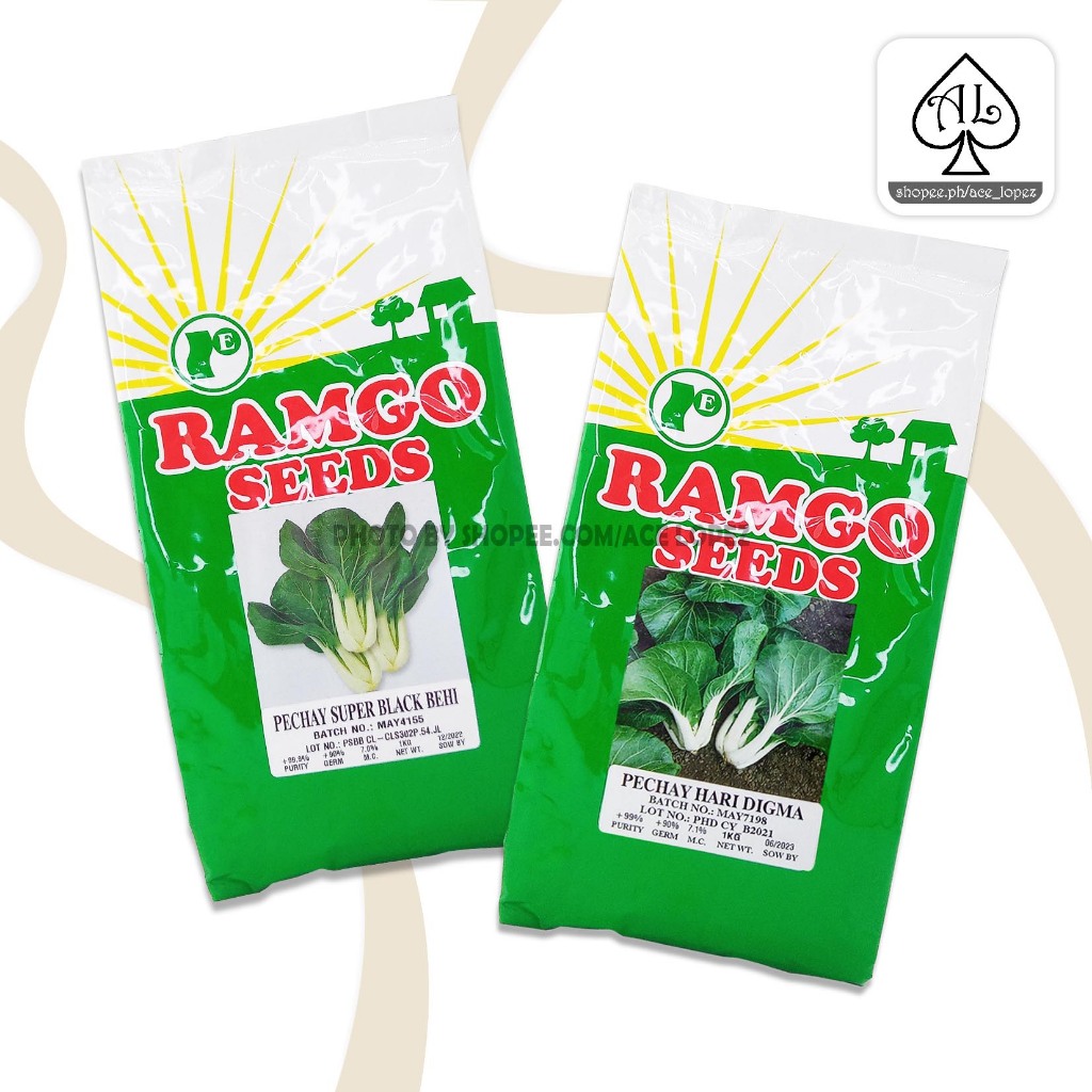 Ramgo Kilo Pack Pechay Hari Digma or Black Behi 1kg als21207 | Shopee ...