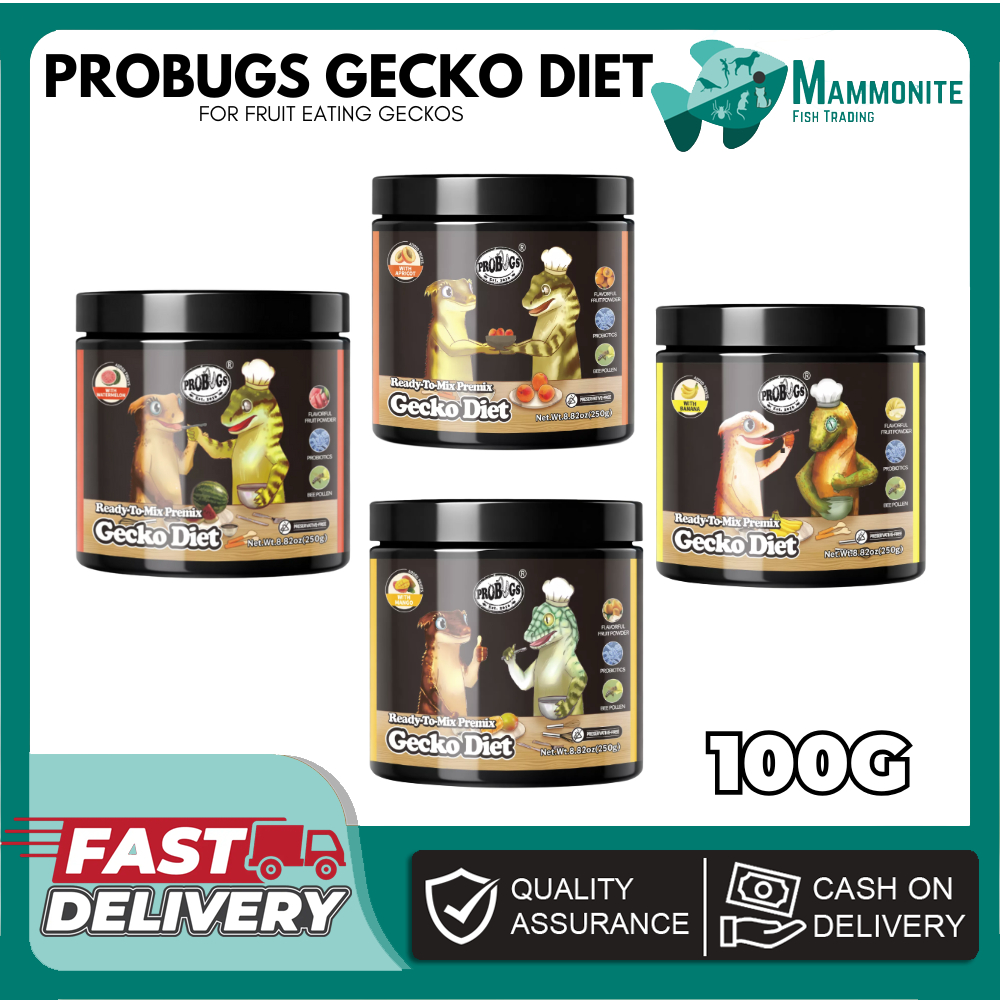 Probugs Gecko Diet 100g Fruit-Eating Geckos Nutritious Meal for Fruit ...
