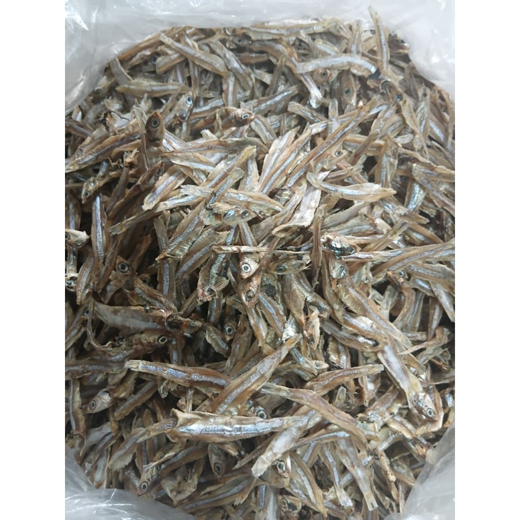 Shop dilis for Sale on Shopee Philippines