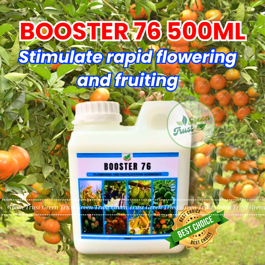 [BOOSTER 76 500ML] Boost Your Harvest with Booster 76 – Flowering and ...