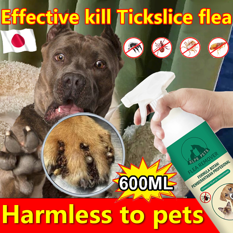 600ml Fleas and ticks remover Dog spray for ticks and fleas Pet spray ...