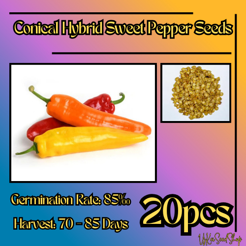 Conical Hybrid Sweet Pepper Seeds (20pcs) | Shopee Philippines