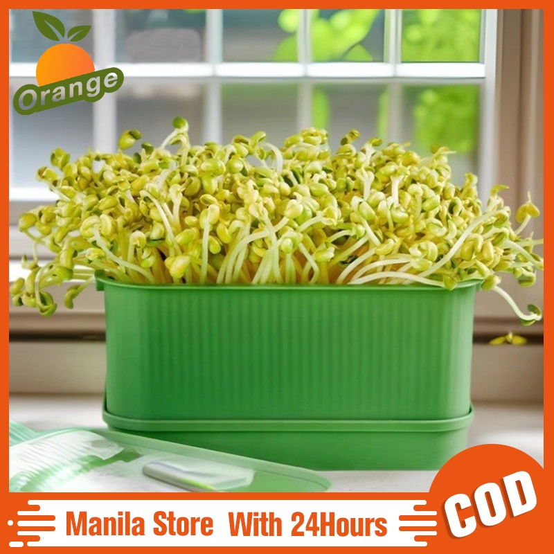 Plastic Bean Seedling Trays With Drain Hole Bean House Sprout Machine ...