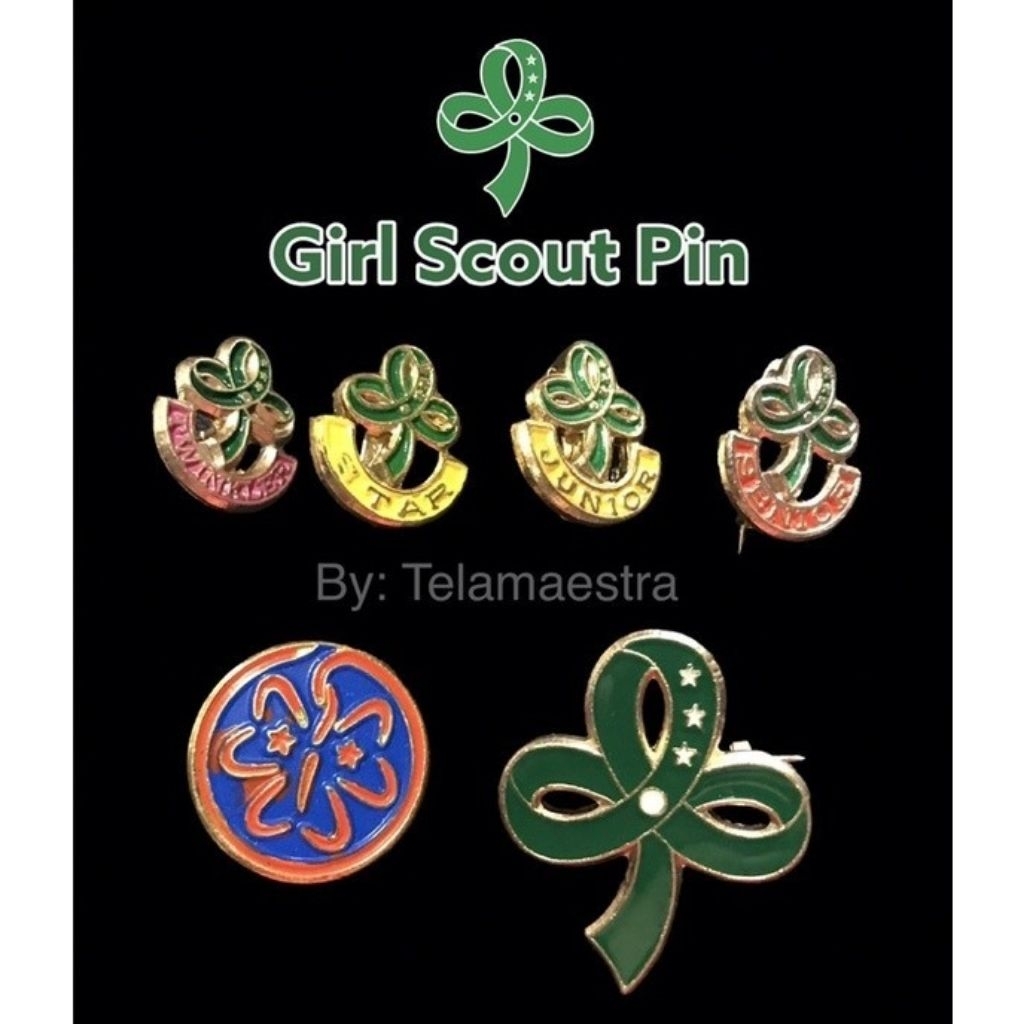 Gsp pin(star pin, twinkler pin, junior pin,senior pin, investiture pin ...