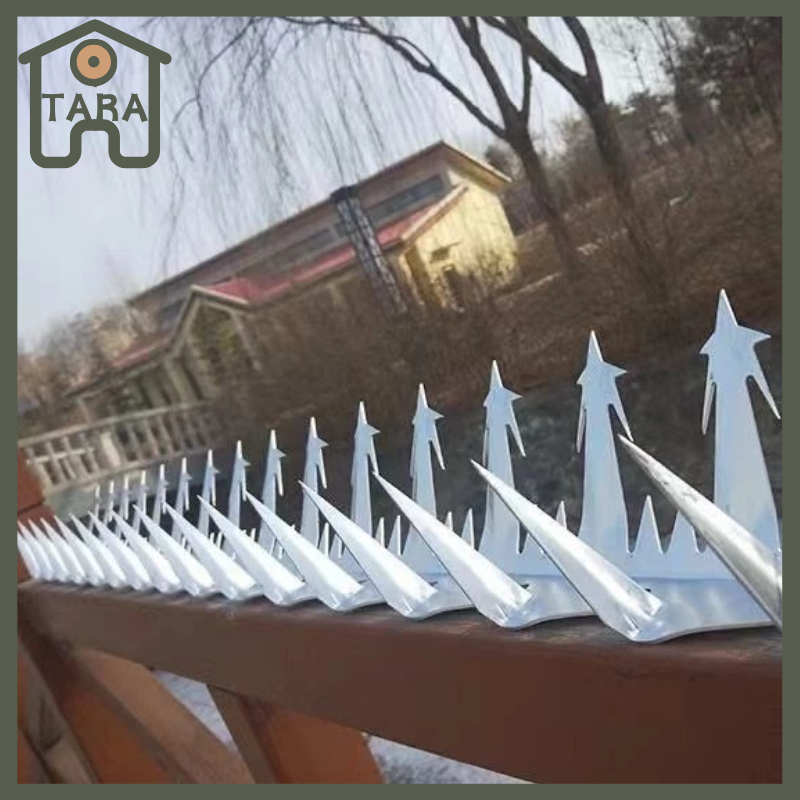 Wall Spike Spear Spike And Plain Spike Fence Spike Anti Theft Prevent ...