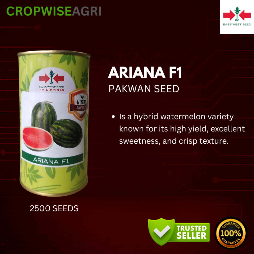 East West ARIANA F1 / Sugar Deluxe F1 2500 Seeds Watermelon Canned ...