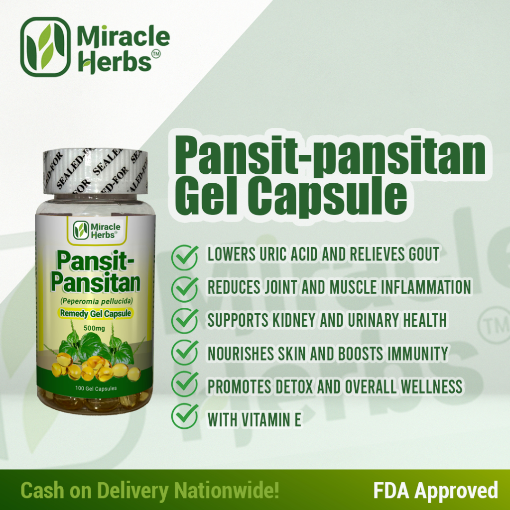 Miracle Herbs Pansit-Pansitan Capsule 500mg Peperomia pellucida Remedy ...
