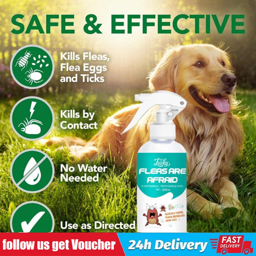 Flea and Tick Remover for Dog and Cat Anti Garapata Remover for Dog ...