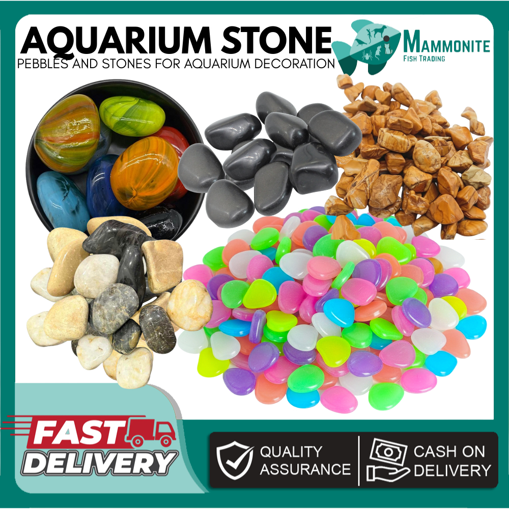 Aquarium Gravel Stone Pebbles for Aquarium Decoration Naturally Safe ...