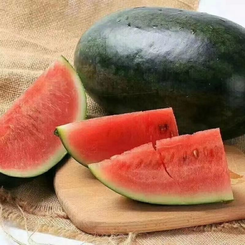 (20 Seeds) Super Sweet Juicy Giant Water Melon Seed Pakwan Seeds Dwarf ...
