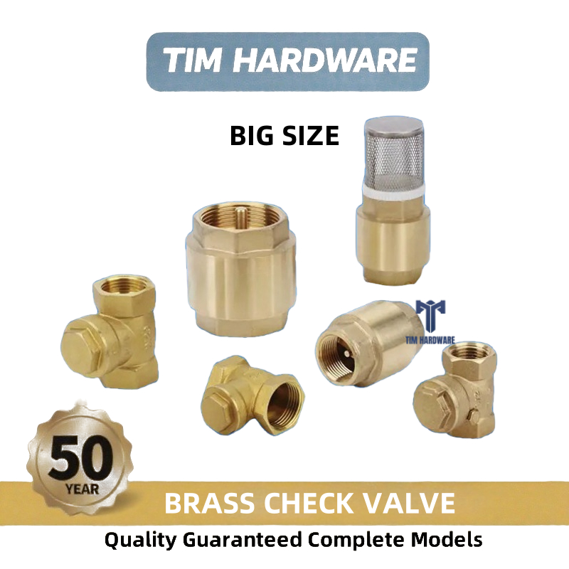 Big Size Female Thread Brass Non-return Swing Valve Check Valve Foot ...