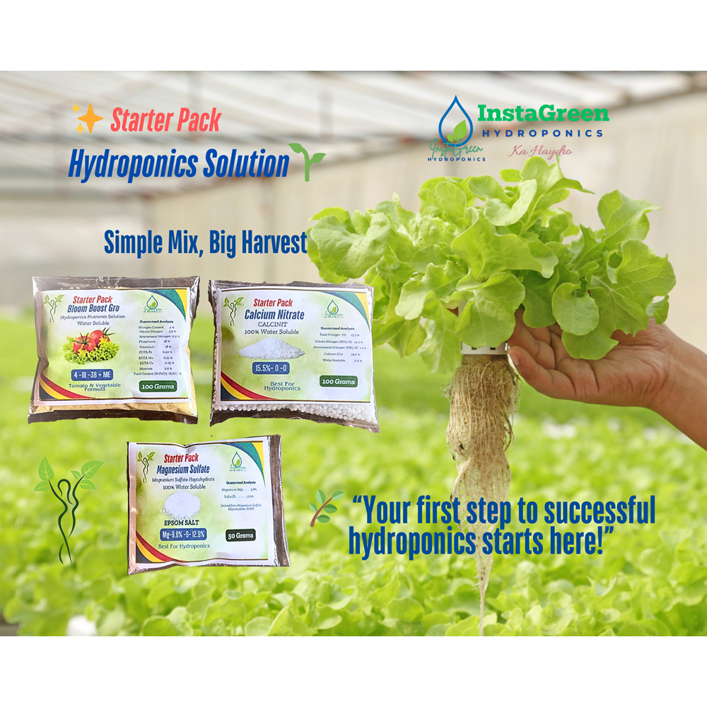 Starter Pack Hydroponics Solution Starter Nutrients Kit | Shopee ...