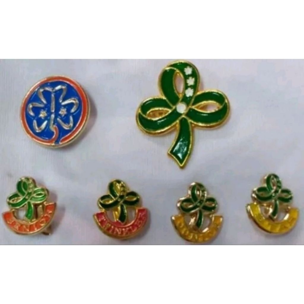 Gsp pin (world pin,pin holder, senior pin, investiture pin, star pin ...