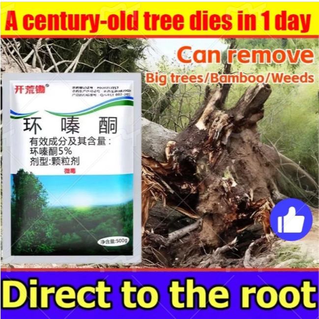 Powder to kill Tree chemical Hexazinone root remove kill tree bamboo ...