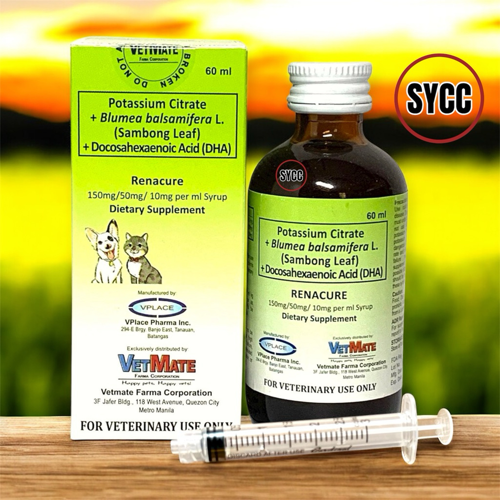 Papi Renacure Kidney Supplement w/ Sambong Leaf for Dog & Cat 60ml ...