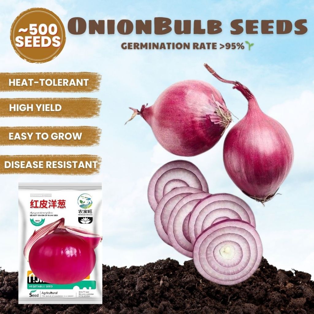 OnionBulb/ Sibuyas Seeds (F1) ~500 Seeds | Heat-Tolerant, Easy to Grow ...