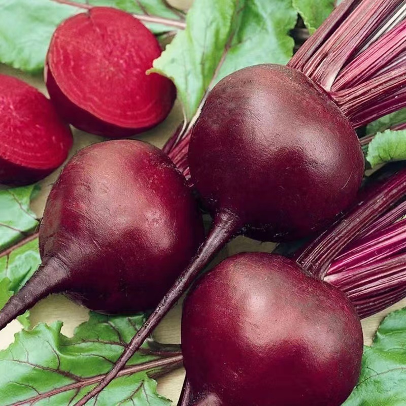 RED BEET SEEDS (150 seeds) - Dark Red Beets | Shopee Philippines