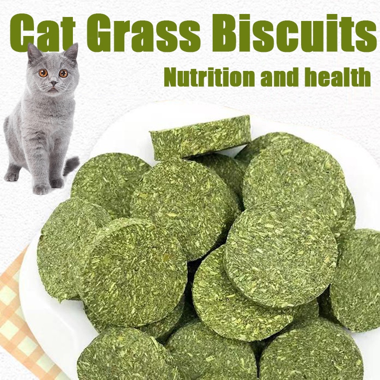 Freeze-Dried Cat Grass Biscuits Snack Cat Snacks Promote Hairball ...