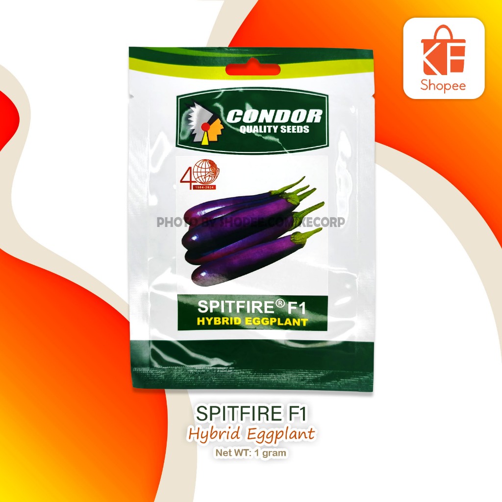 Condor Vegetable Seeds Eggplant Spitfire F1 kcS11207 | Shopee Philippines