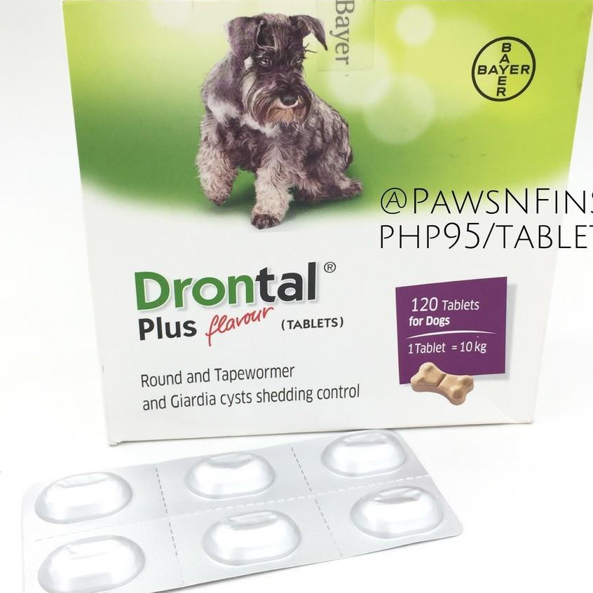 DRONTAL PLUS FLAVOUR TABLET BONE SHAPE (1 TABLET ONLY) | Shopee Philippines