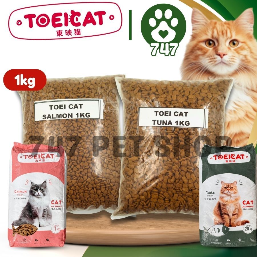 1kg Toei Cat Dry Food Boosts Immunity All Stages Adult Kitten Cats Pet ...