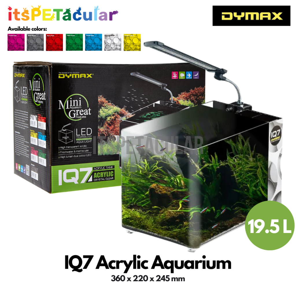 DYMAX IQ7 Acrylic Aquarium with Light and Filter | Shopee Philippines