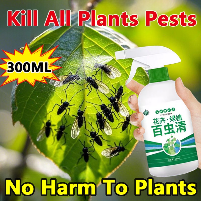 Pesticide Insecticide No Harmful Insecticide For Plants 300Ml ...