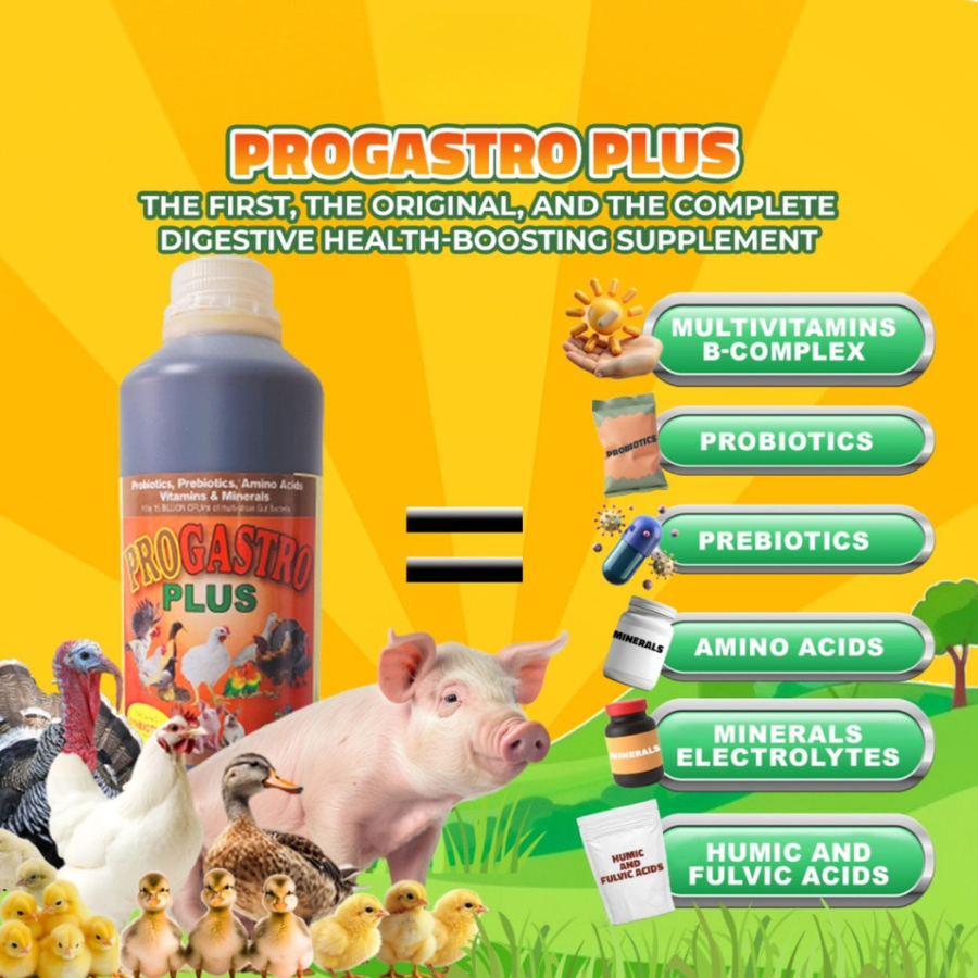 ProGastro Plus 1L Poultry & Swine Probiotics for Broilers Layers Ducks Quails Digestive Support ...