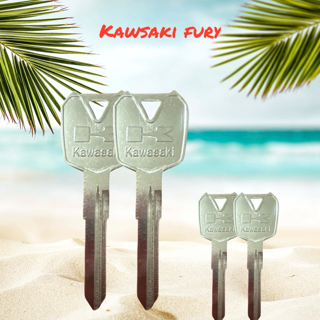 Kawasaki fury metal(10pcs for 250) | Shopee Philippines