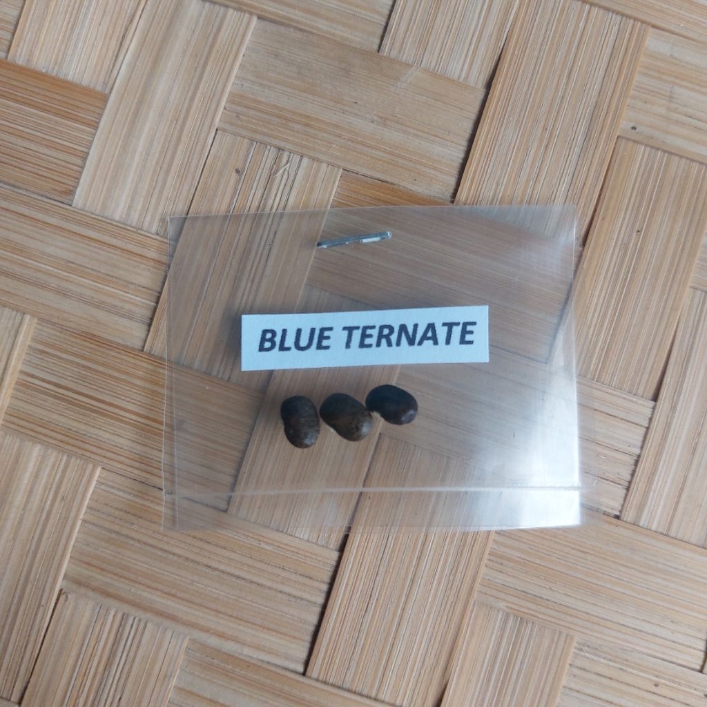 Shop blue ternate for Sale on Shopee Philippines