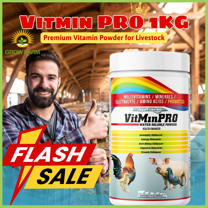 Shop vitmin pro for Sale on Shopee Philippines