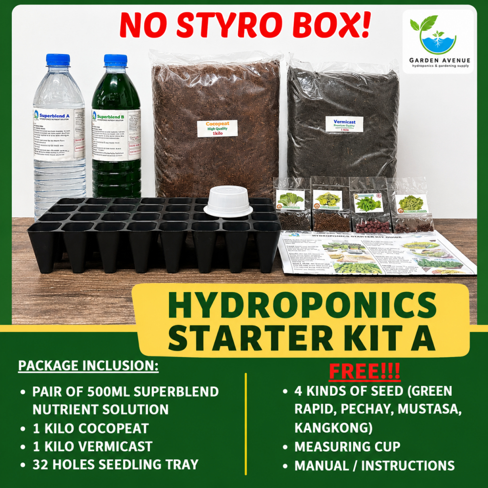 Shop styro cup for Sale on Shopee Philippines