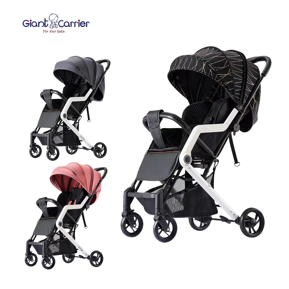 Giant Carrier Fiera Stroller with Trolley Feature, Large Basket, Multi ...