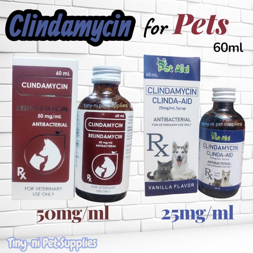 ClindamyPet Syrup for Pet Dogs and Cats|60ml protection against ...