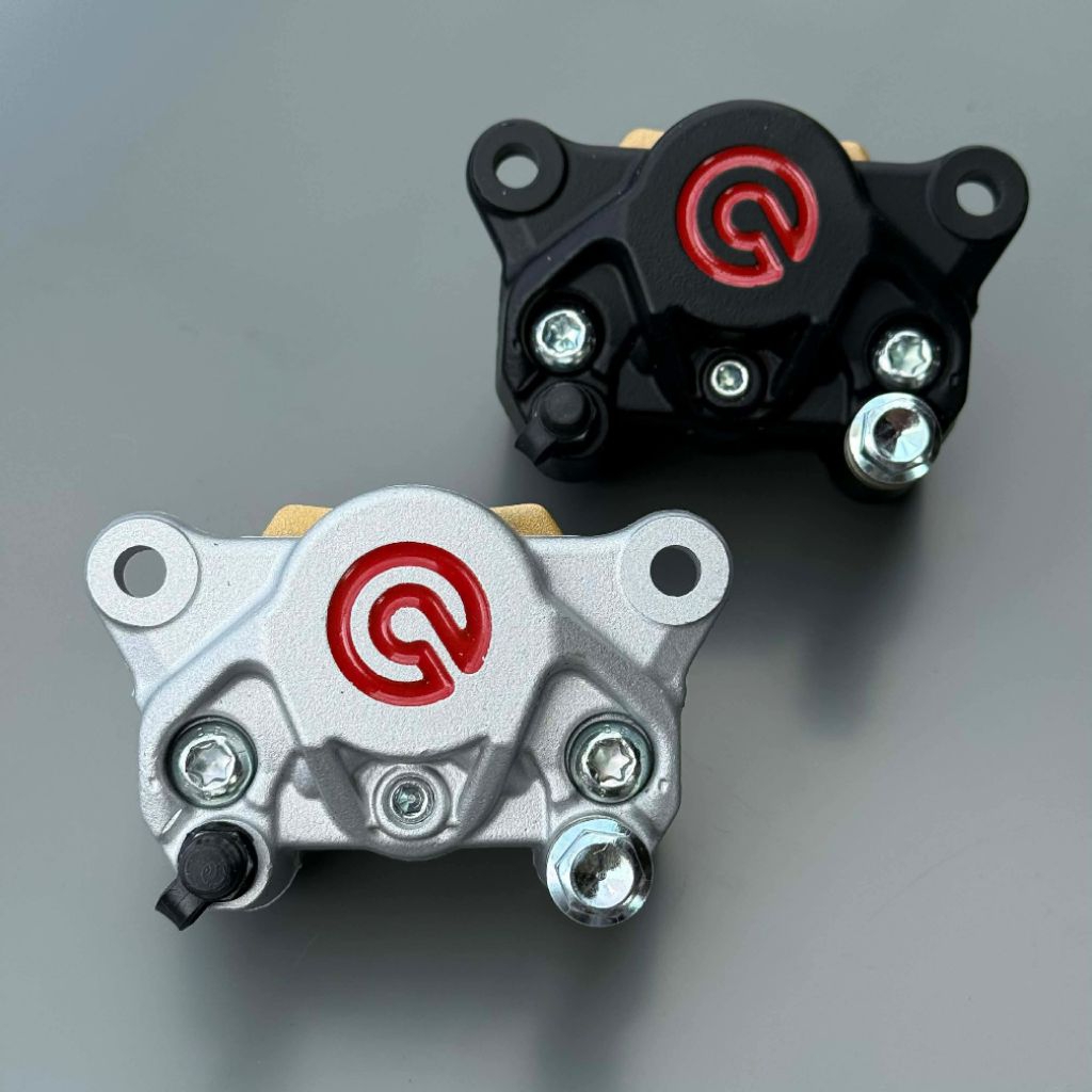 2Pot Caliper Casted w/ Brakit 290mm Disc For Raider 150 | Shopee ...