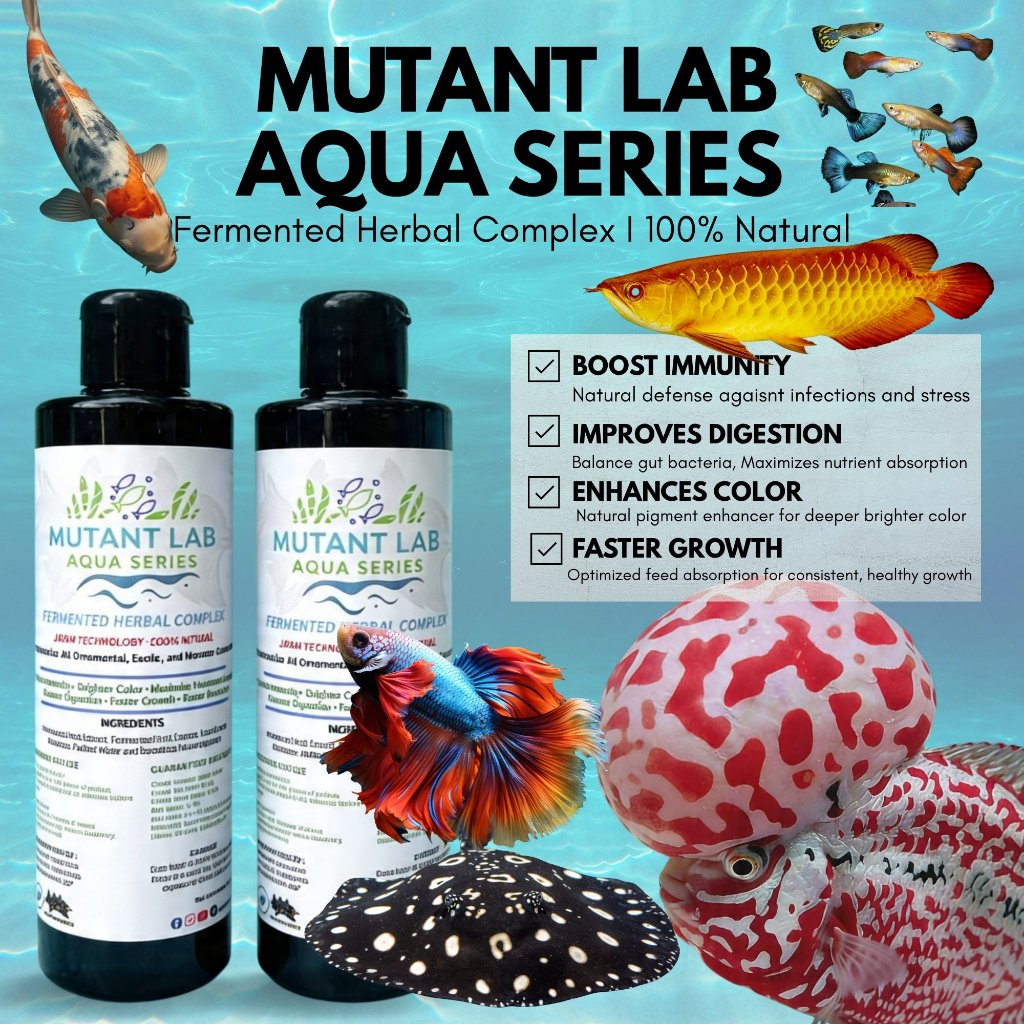 Mutant Lab Aqua Series – Natural Support for Ornamental & Exotic Fish ...