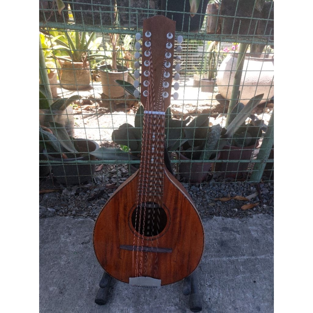 Shop banduria for Sale on Shopee Philippines