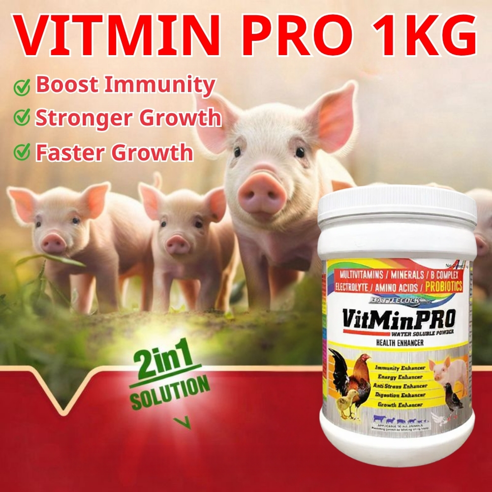 Shop vitmin pro for Sale on Shopee Philippines
