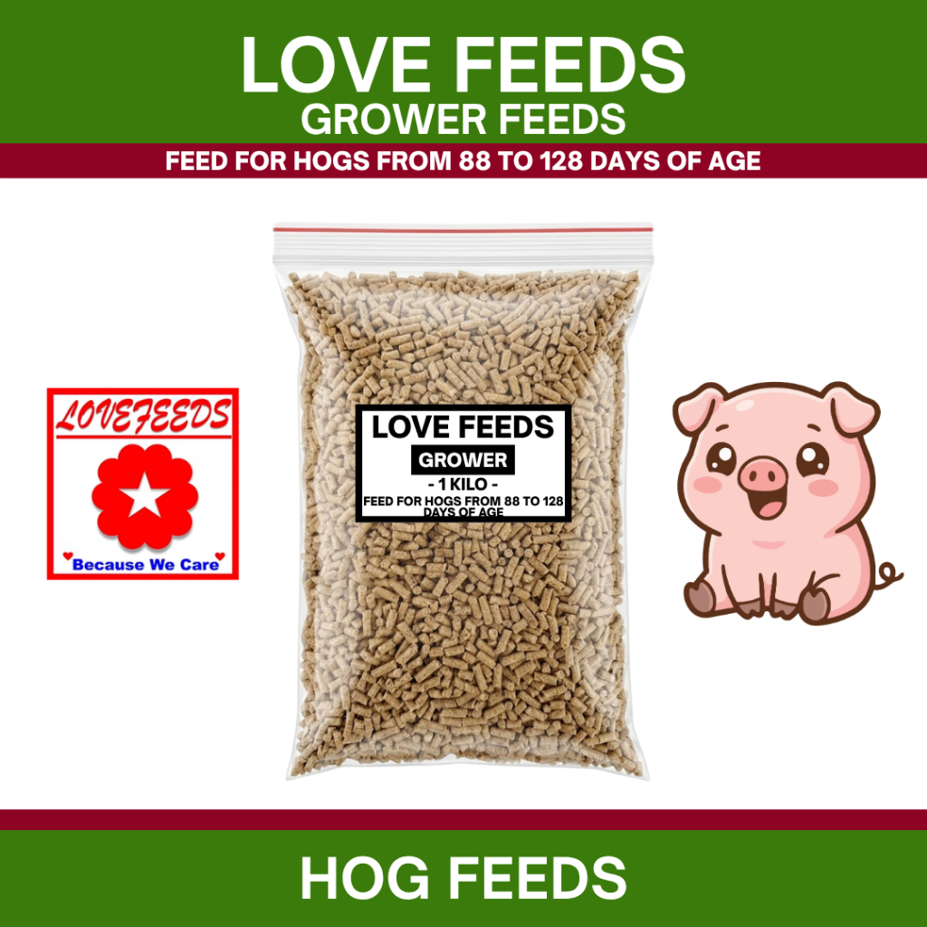 hog grower feeds - Best Prices and Online Promos - May 2026 | Shopee ...